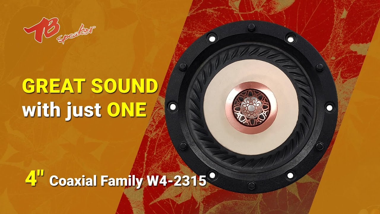 Tang Band (TB Speaker) W4-2315 4” Coaxial full range - YouTube