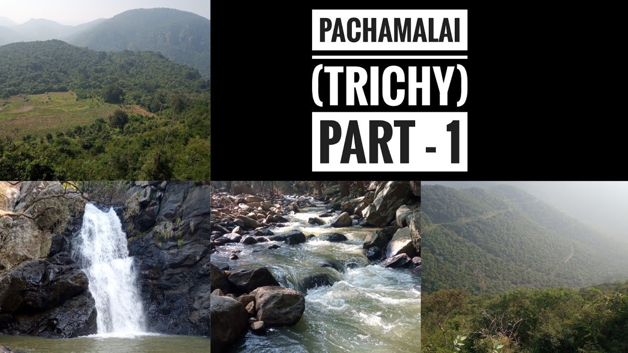 Pachamalai Hills | #vlog | | #trichy | | #pachamalai | | #hills | - YouTube