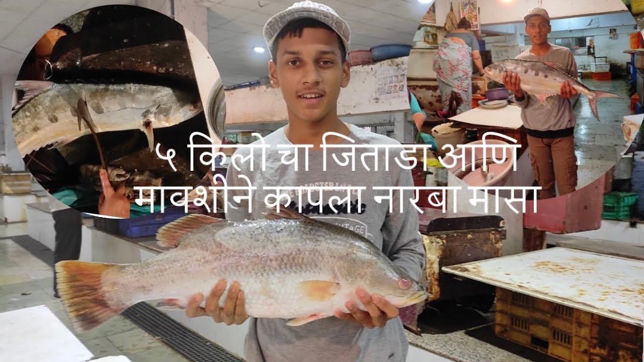 5 किलो चा जिताडा आणि मावशीने कापला नारबा मासा | Monster Fish Cutting ...
