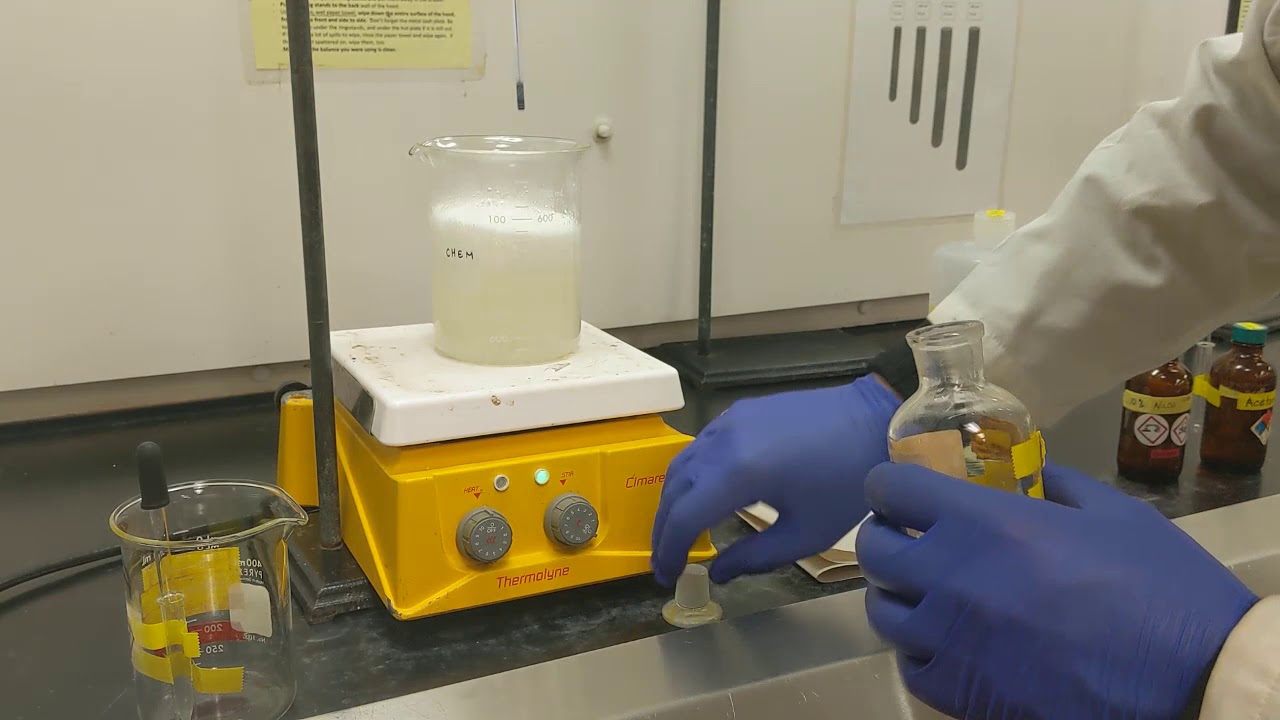 Synthesis Project Week 1 Green Pathway - YouTube