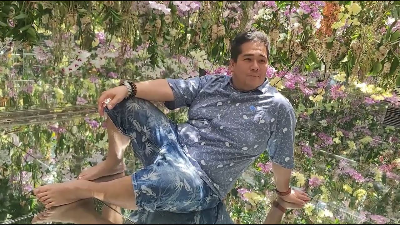 Conhecendo o Team Labo Planets - YouTube