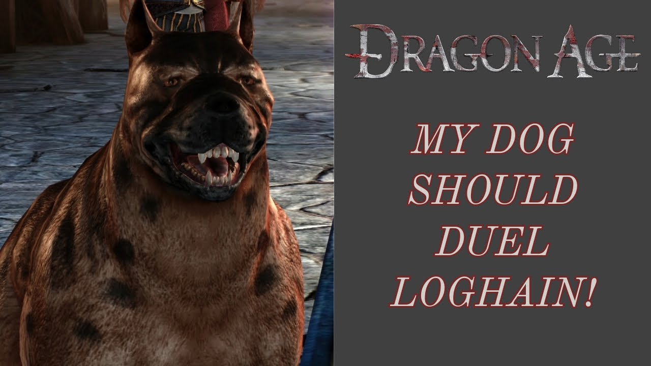Dragon Age: Origins | Choosing My Dog to Duel Loghain at the Landsmeet ...