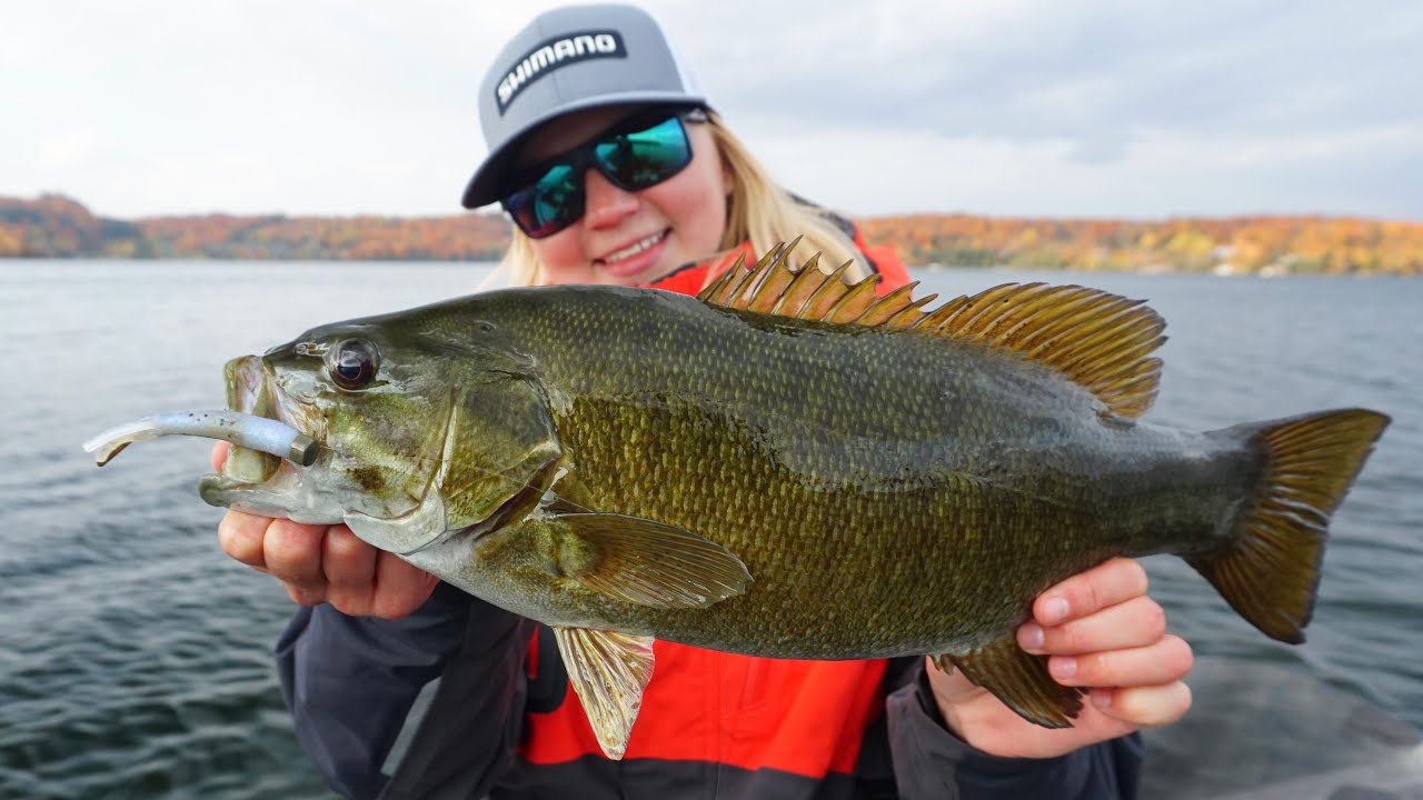 They are Chewing! DEEP Fall Smallmouth in Ontario!! (Baits & Locations ...