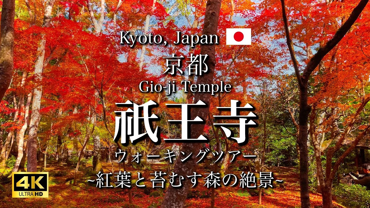 Autumn Leaves at Gioji Temple in Kyoto, Japan | Beautiful scenery of ...