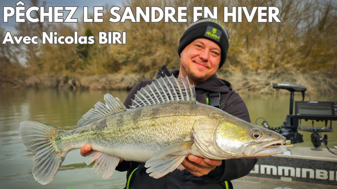 Session SANDRES aux Leurres Souples dans le Rhône - YouTube