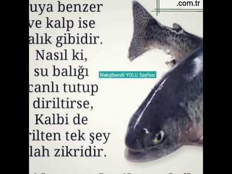 Songül uçar sabır