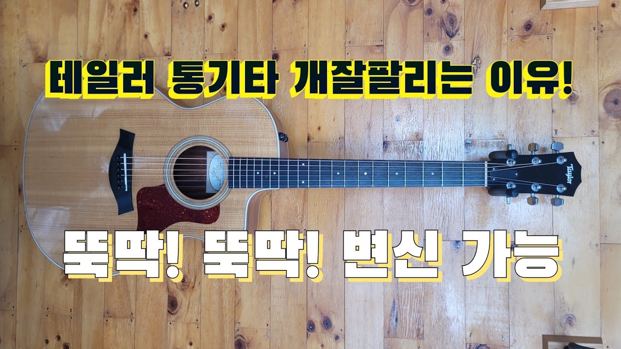 테일러 214ce 통기타 넥 조인트 발란스 세팅 수리 스트링 교환 Taylor 리페어 일렉기타 넥상태 줄높이 리페어 릴리프 백보우 트로스로드 Youtube