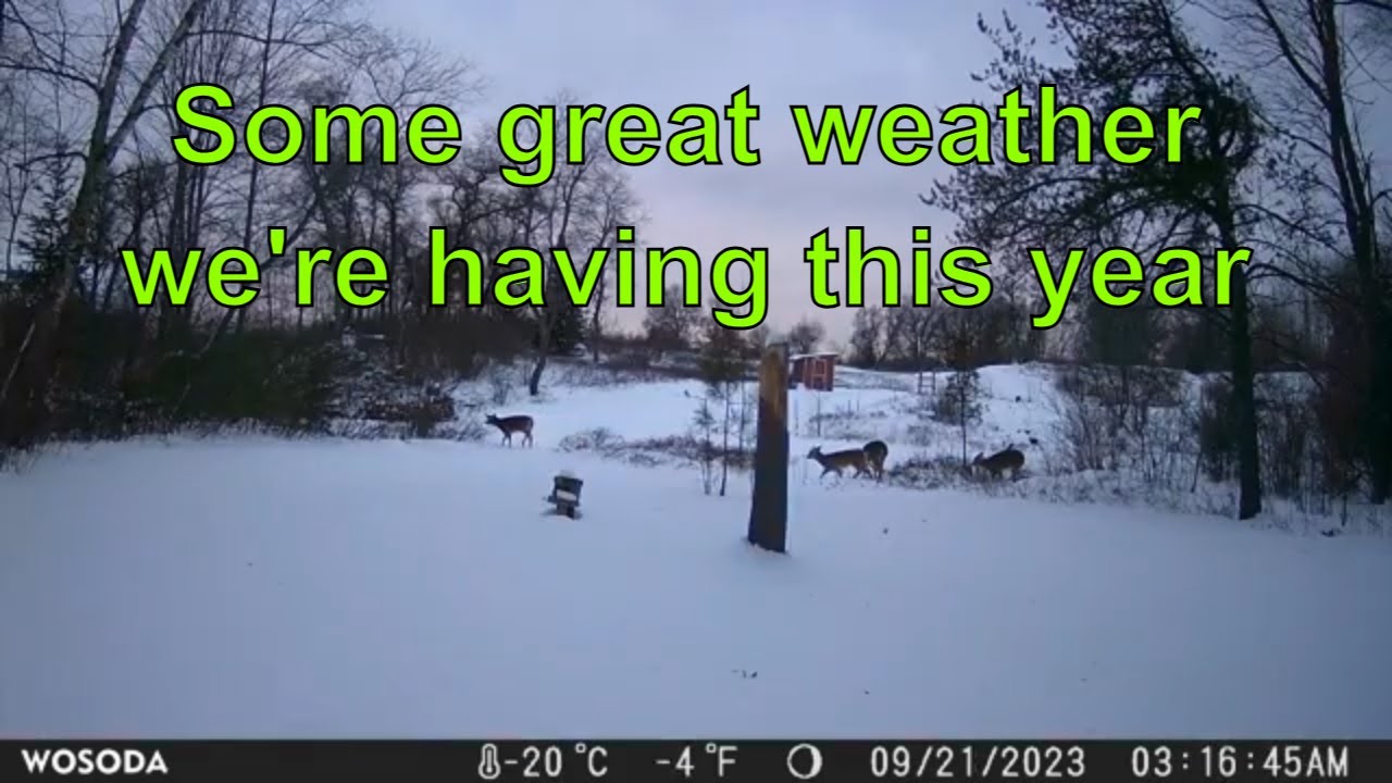 Trail Camera Vlog 119 Low snowfall has been great for the deer. - YouTube