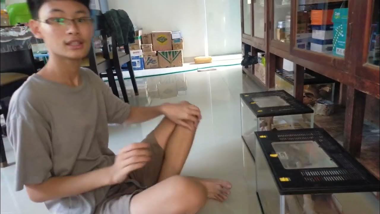 Feeding My Reticulated Pythons Boots and Buttons - YouTube