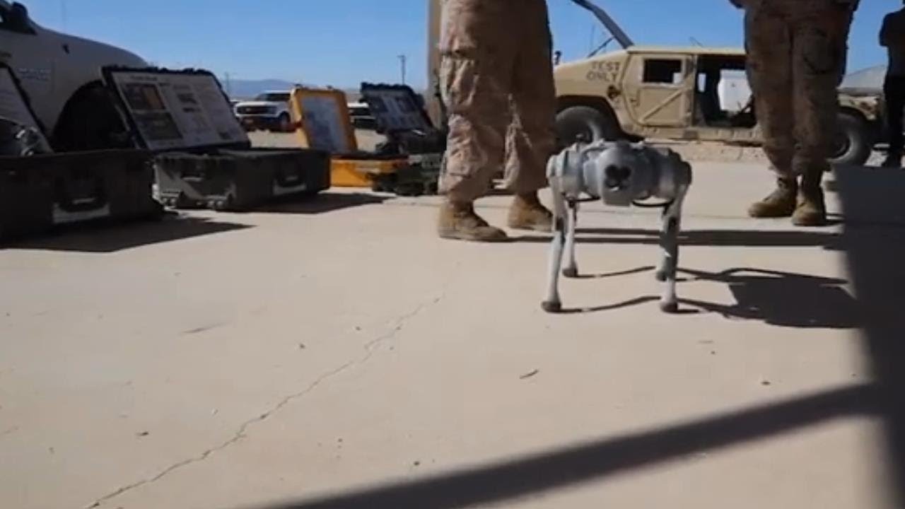 Una nueva raza de perros robot con inteligencia artificial podría ser ...