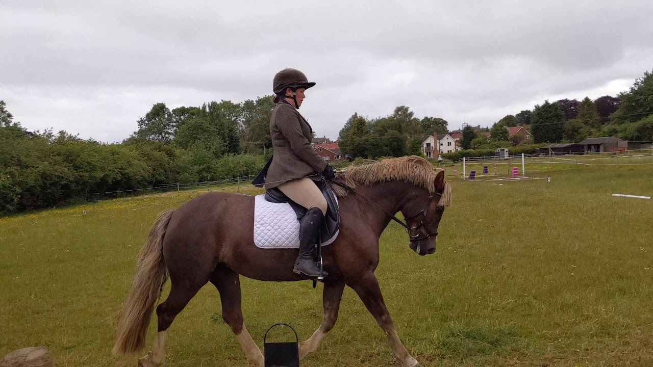 619 Holly Souter and Polly BRC virtual dressage class 3 BRC100+ test ...