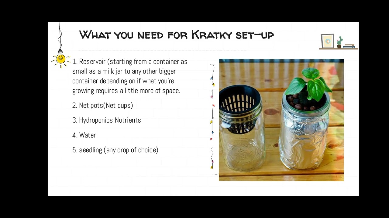 Kratky method Hydroponics - YouTube