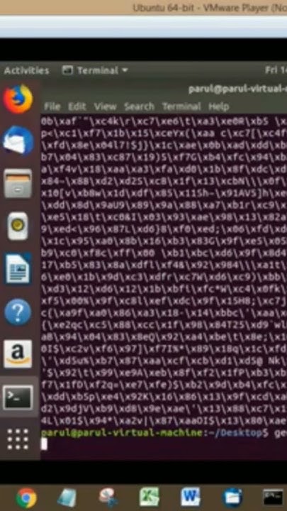 Text File Vs Binary File Binaryfile Pythonprogramming Waytoprogramming Youtube