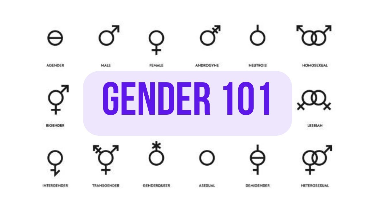 Gender Explained: A Starting Place for Meaningful Dialogue | Gender 101 ...
