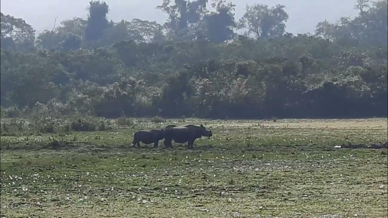 Kaziranga National Park - YouTube