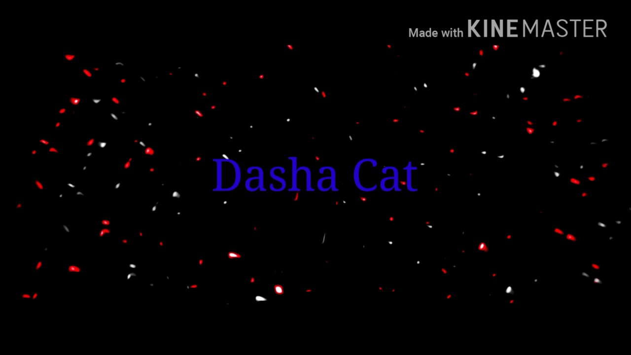 Всё!!!!! Настоящие интро!!!!!!!!||Dasha Cat|| - YouTube