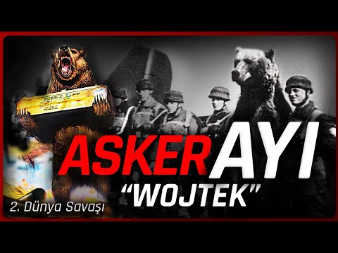 Savaşta ASKERLİK YAPAN Suriyeli BOZ AYI! - Onbaşı \