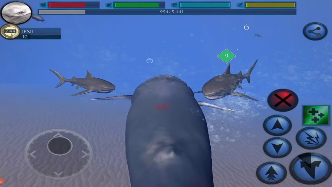Blue Whale VS Shark, Orca, Part 2, Ultimate Ocean Simulator - YouTube