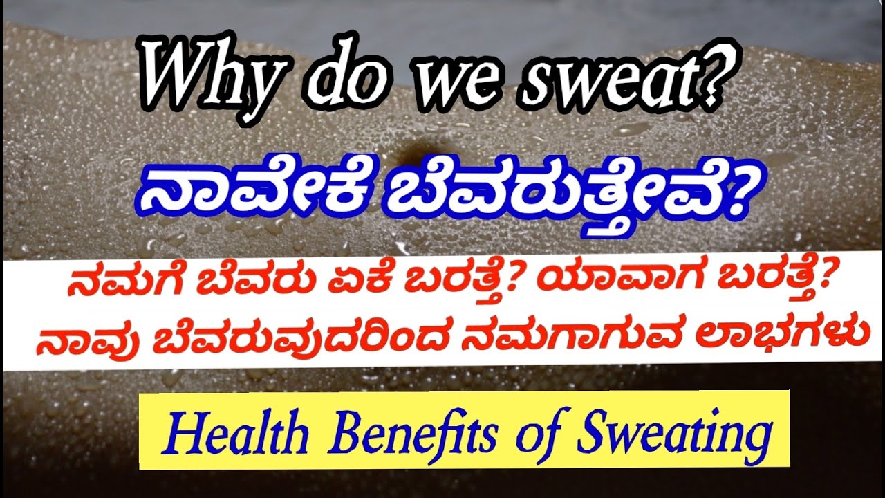 Why Do We Sweat?/Benefits of Sweating/ Why is Sweating Important for ...