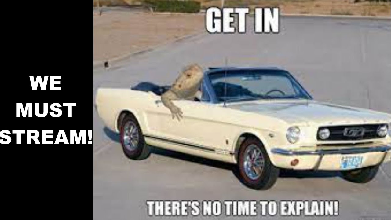 Get In Quick!! - YouTube