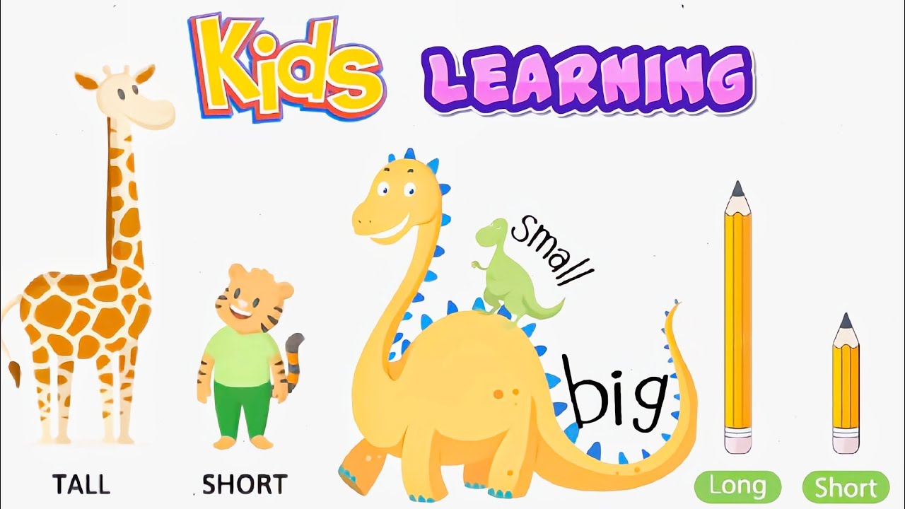 Comparison For Kids | learning Big and small,Tall and short | preschool ...