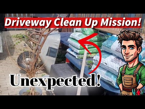 Clearing a Cluttered Driveway - Satisfying Time-Lapse Work - YouTube