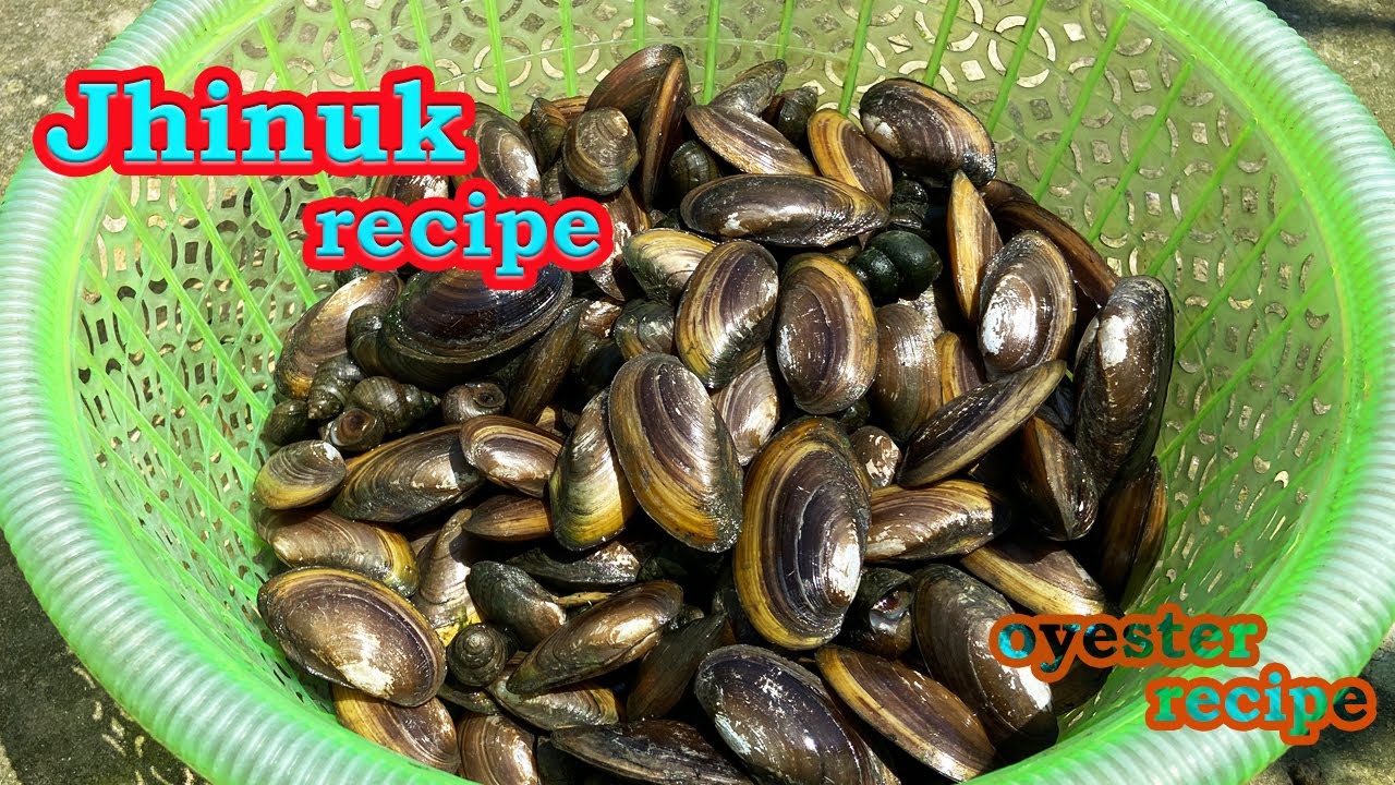 Jhinuk recipe | jhinuk utu | village style cooking - YouTube