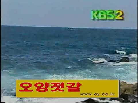 KBS2 가상ID(2000.12) - YouTube