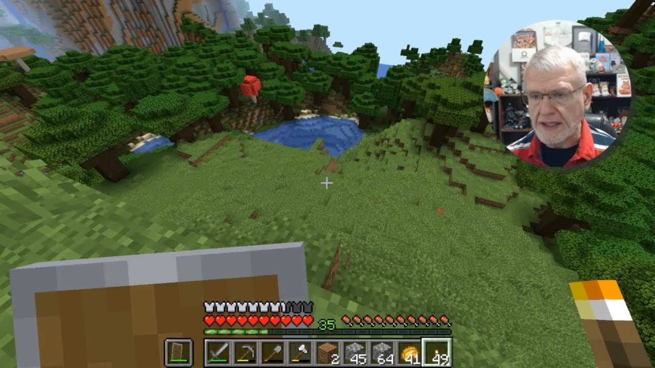 Minecraft - Amplified Minecraft #69 | Endless Dwarfing Relaxation ...