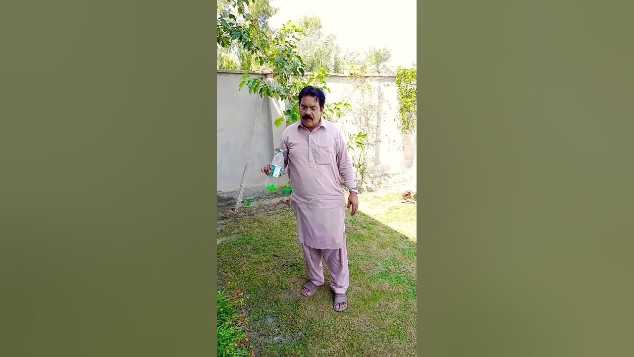 Tilawat #ch safdar ali#quran#tilawat e quran#trending #dailylife #viralvideo #shorts - YouTube