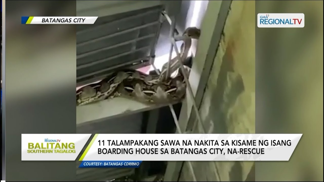 Balitang Southern Tagalog: Burmese Python - YouTube