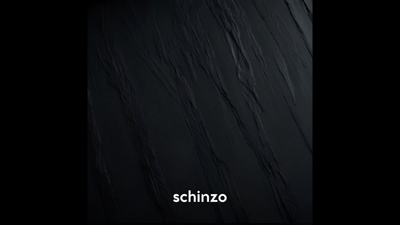 schinzo - So lange schon genug - YouTube