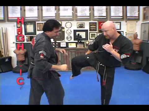 Jeff Speakman  - Deceptive Panther