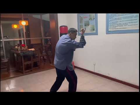Five element fist (五行拳)- Dai Family Xinyi Quan (戴家心意拳）#Kungfu #martialarts #功夫 #wushu#心意拳唐宁泰