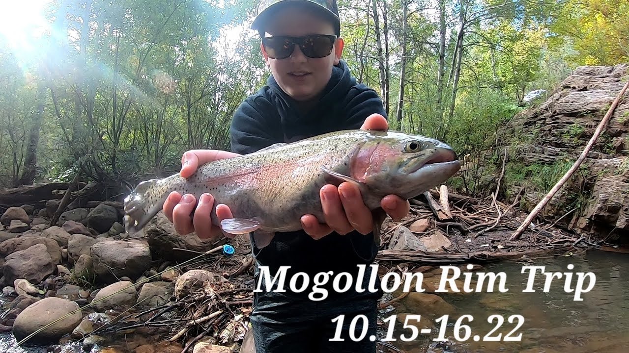 Mogollon Rim Trip - Fly Fishing Arizona - YouTube