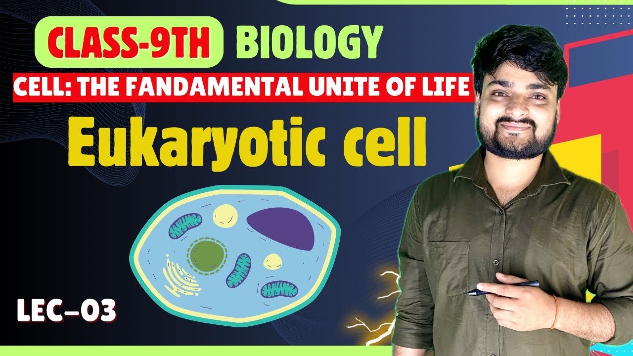 Structure of Eukaryotic cell class 9th Biology - YouTube