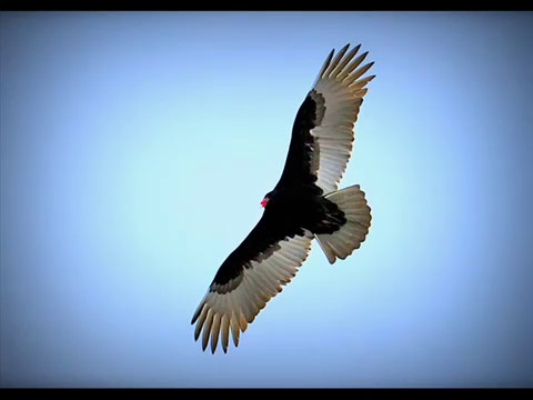 (eypio)günah benim yunan versiyon