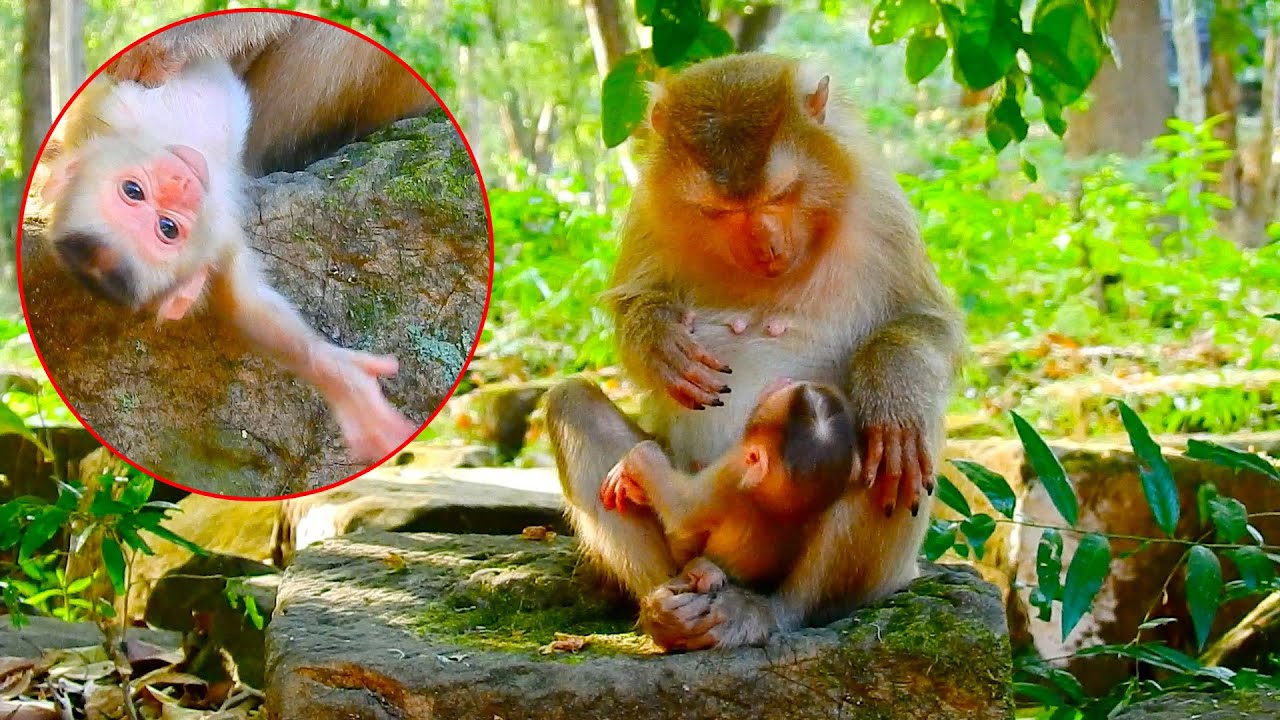 Mummy will give New baby life lessons and discipline. - YouTube