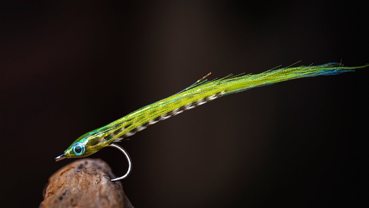 The secret to a perfect sandeel baitfish lies in the DNA! 🧬 - YouTube