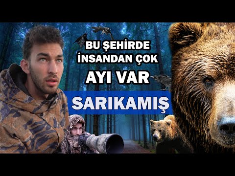 AYI NÜFUSUNUN İNSAN NÜFUSUNDAN FAZLA OLDUĞU ŞEHRE YOLCULUK! | KARS, SARIKAMIŞ
