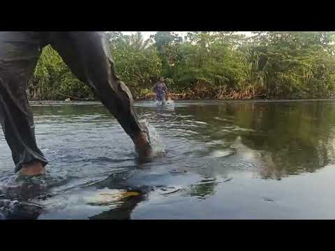 mandi di sungai belakang rumah bersama bocil-bocil