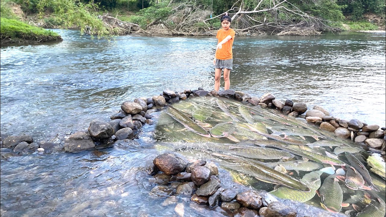 Fish trap, how to arrange rocks to trap stream fish - YouTube