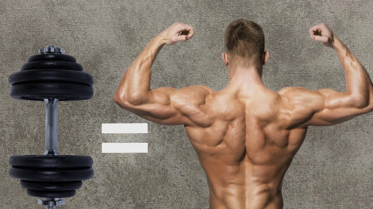 EFFECTIVE Back Workout at Home (Only With Dumbbells) - YouTube