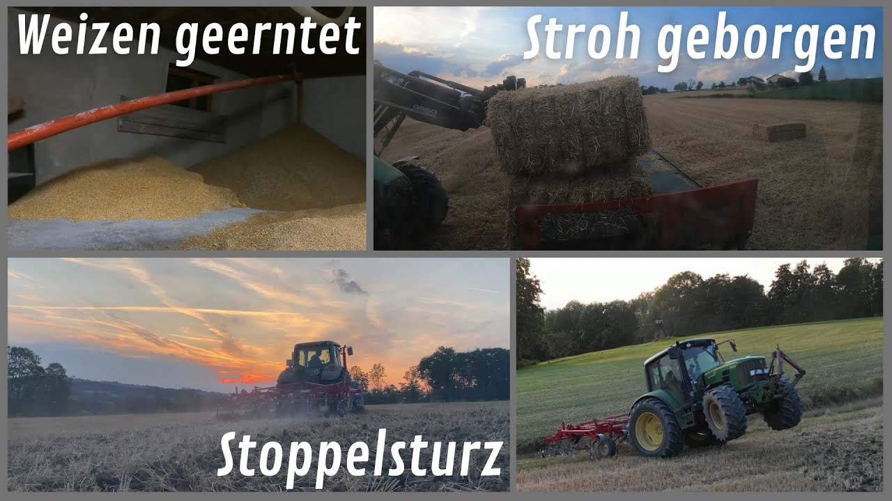 Getreideernte abgeschlossen | Vlog #47 - YouTube