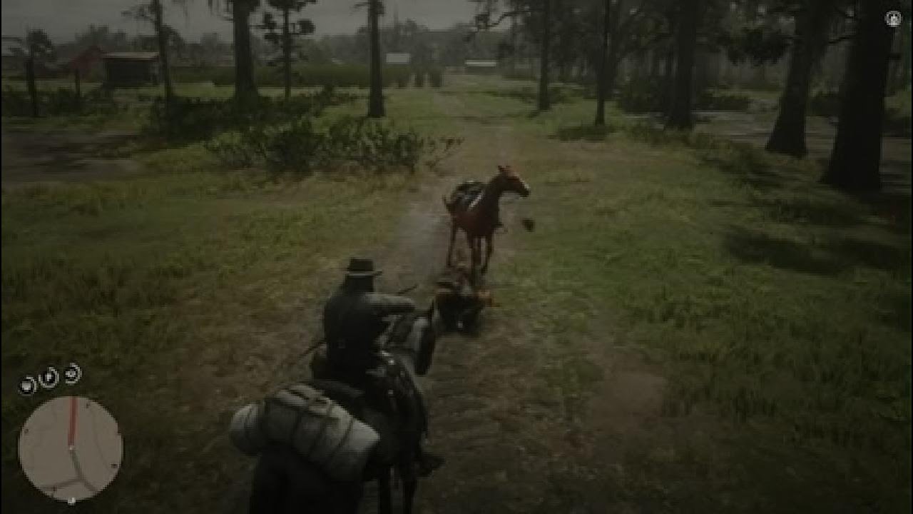 Red Dead Redemption 2 Legendary Alligator - YouTube