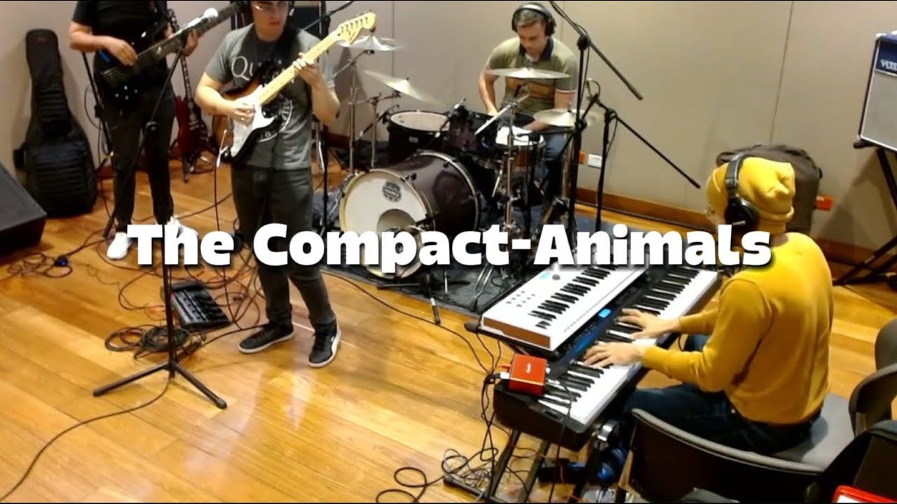 Muse - Animals (Cover) by The Compact (Live studio) - YouTube