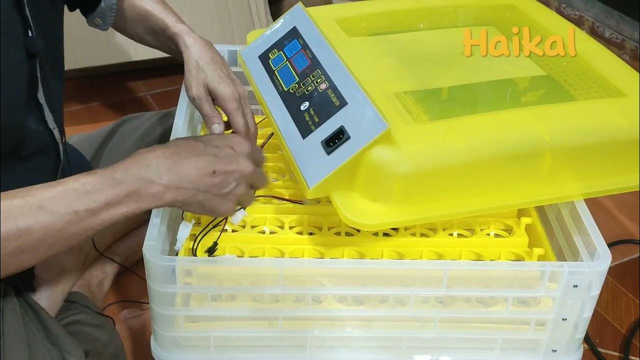 Tutorial Pemasangan Mesin Tetas Ayam - YouTube