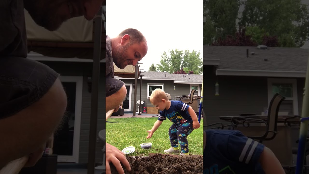 Digging up worms for fishing - YouTube