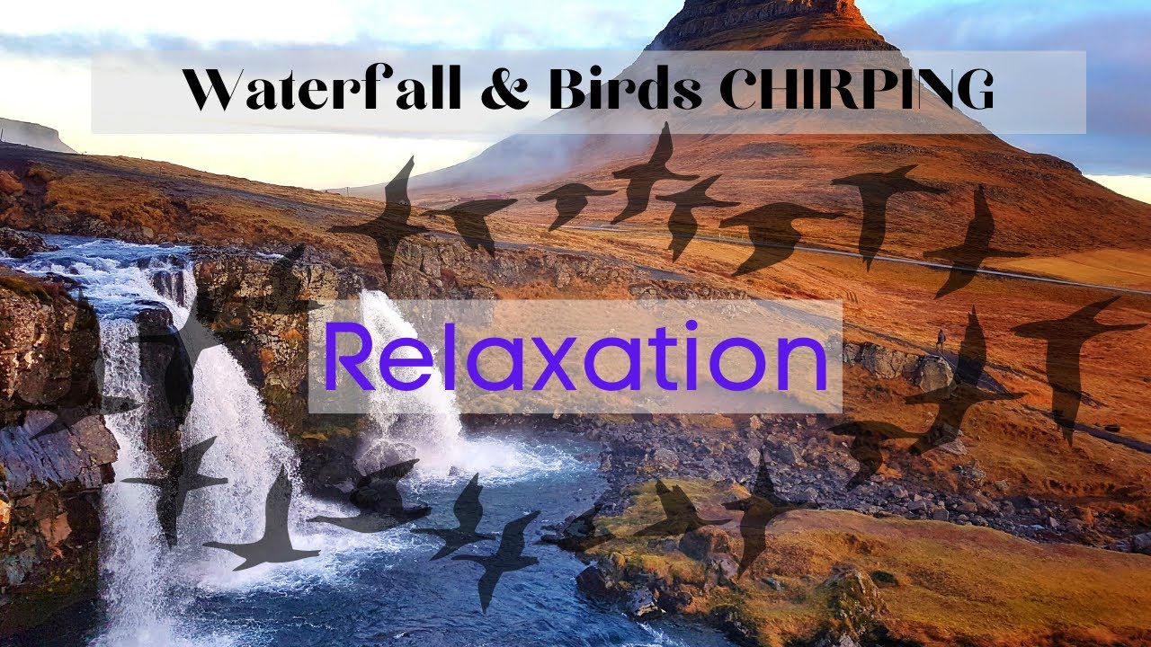 NATURAL birds CHIRPING sound | WATERFALL | ambient background music ...