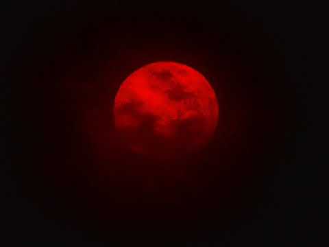 Sezen AKSU - masum değiliz